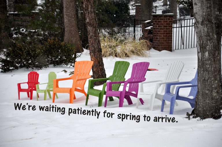 Are You Ready for Spring? | Reflection of Memories